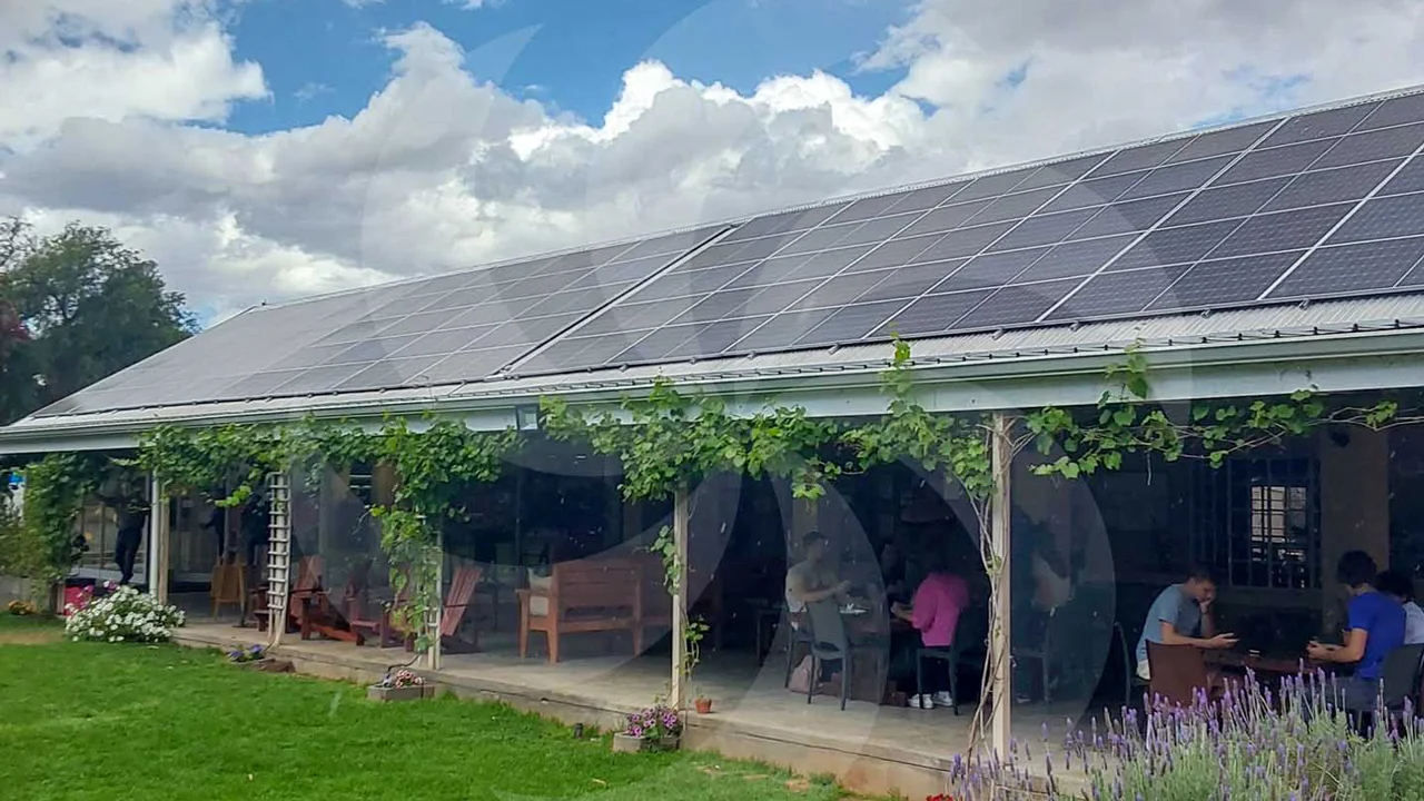 Empowering Sustainability: Safari Ostrich Tourist Farm with their ...